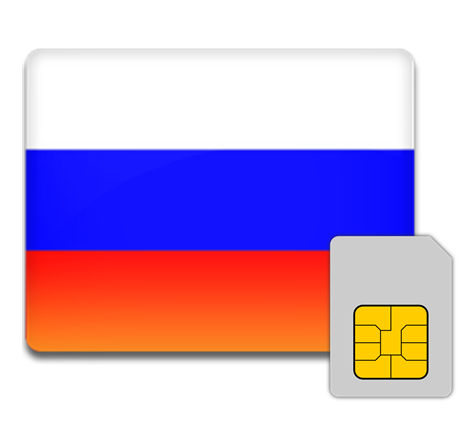 TravelSim Russia 1GB per day 10 days